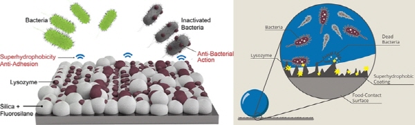 단국대학교 고분자시스템공학부 오준균 교수, 유해 박테리아 99.9% 제거 가능한 코팅 기술 개발
