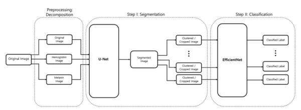 성균관대학교 소프트웨어학과 정태명 교수팀, 피부질환 위치 탐지 및 진단을 위한 인공지능 모델 소개