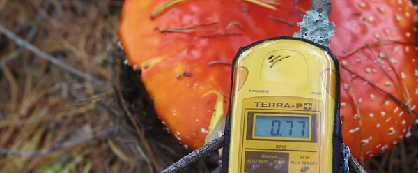 제18회 EBS국제다큐영화제(EIDF2021)의 선정작 중 다섯 작품, D-BOX를 통해 3월 선공개