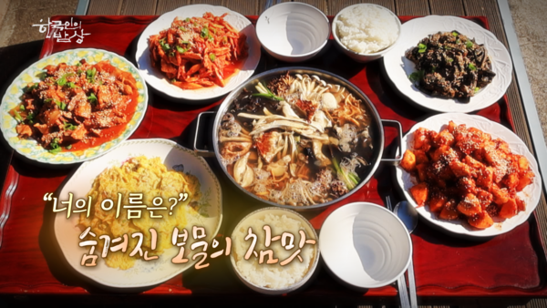 매가리 만새기 꽃버섯 방패버섯… 한국인의 밥상 “너의 이름은?” 숨겨진 보물의 참맛