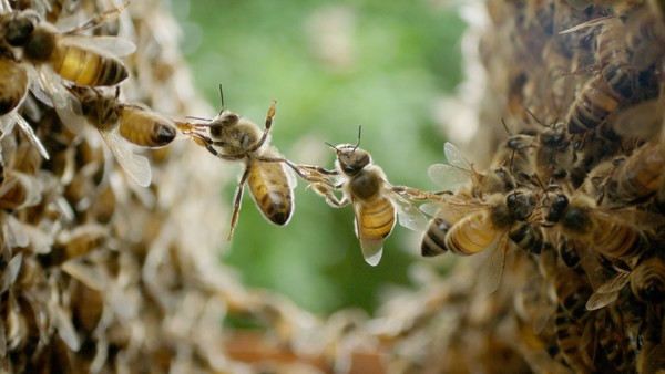 EBS, 창사 51주년, 6월 한 달간 특별 편성 선보여